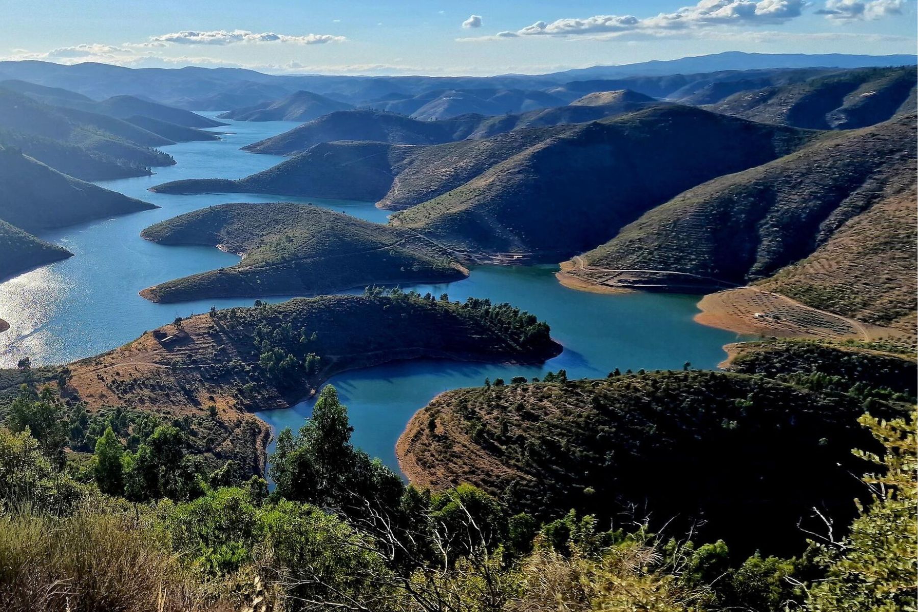 Serpente do Rio Sabor, entre Amendoeiras - DaBus